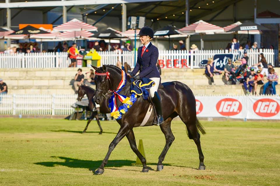 EQUINE – Seed and Feed Perth